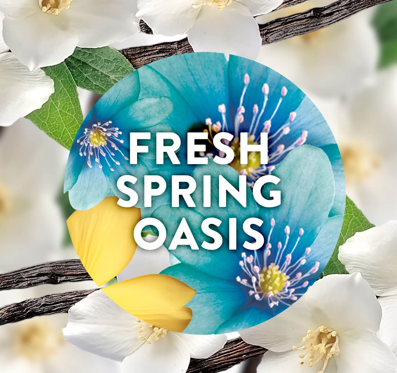 Air Wick Spring & Summer Fragrances